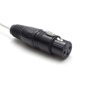 Seismic Audio - SA-DB8XF3 - DB25-8 Channel XLR Female 3 Foot D-Sub Snake Cable Patch Bay Interface Modular Cable
