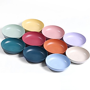 WANBY Plastic Plates 10 Pcs Lightweight 5.6" Plastic Plates Unbreakable Dinner Dishes Plates Set Dishwasher & Microwave Safe