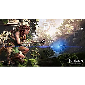 Horizon Forbidden West (PS5)