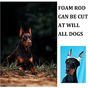 Pacify Doberman Dog Ear Posting Kit, Dog Ear Stand Up Support Tool with Tape Doberman Pinscher Dogs
