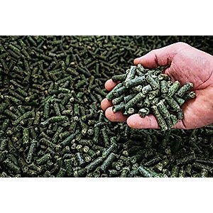 CZ Grain Alfalfa Pellets for Feeding - Guinea Pigs, Rabbits, Birds and More Small Animal Pets (1 Pound)