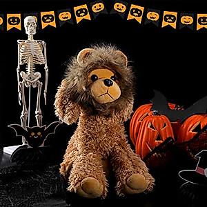 2 Pieces Pet Lion Mane Wig Hat Costume for Kittens Small Cats Puppy Dogs Halloween Party Apparel Accessories Holiday Headwear Cosplay Dress up Clothes Pet Outfit Gifts for Cat Dog Lovers (Small)