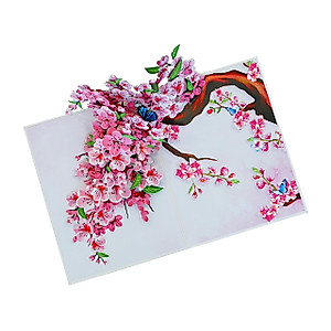 PQ Bees Pop Up Mothers Day Card for Women Mom Grandma Wife, 3D Birthday Anniversary Get Well Soon Thank You Valentines Day Card (Size 6x8 In – Butterflies Cherry Blossom).