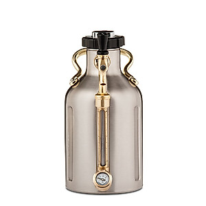 GrowlerWerks uKeg Carbonated Growler-Great Gift for Beer Lovers, 64 oz, Stainless Steel