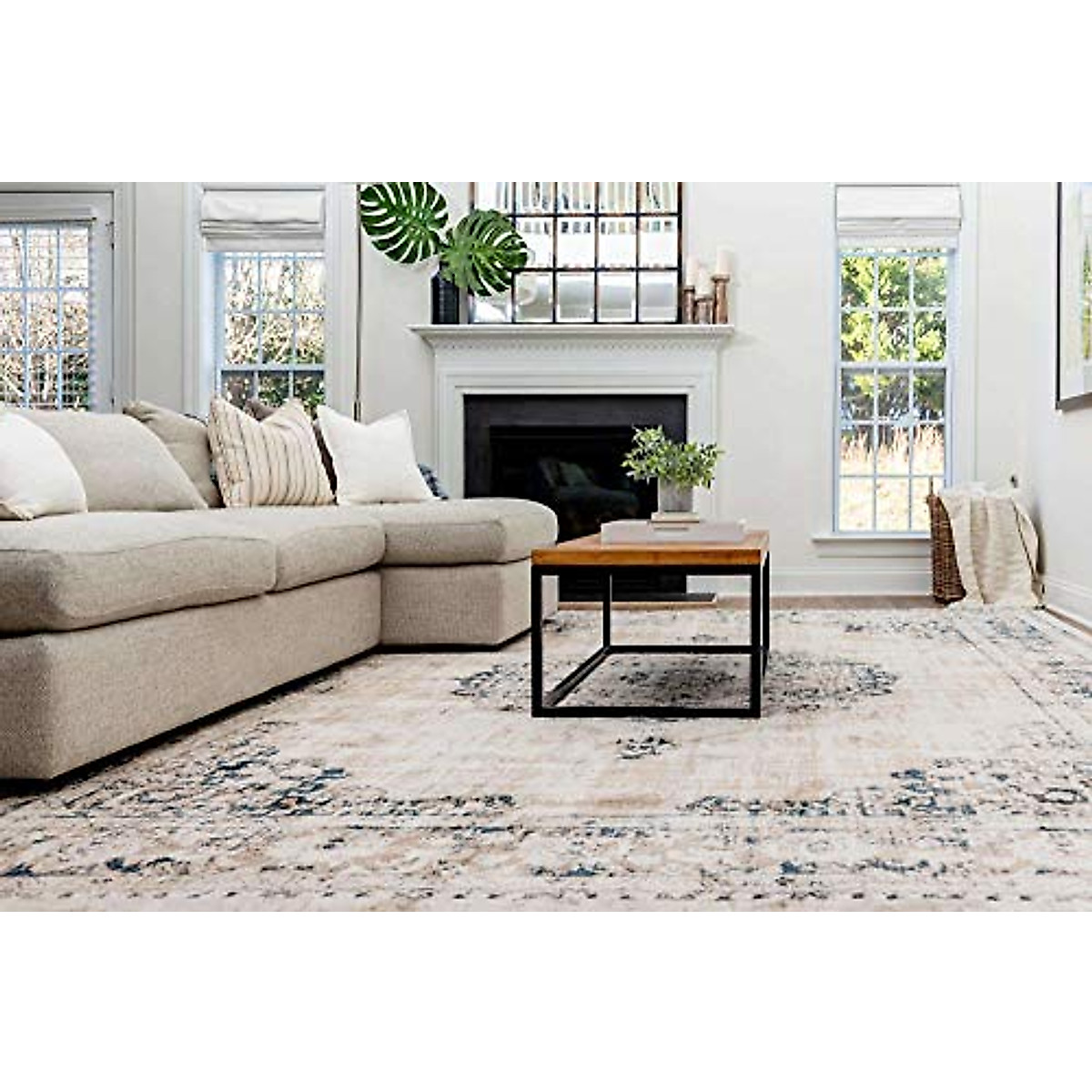 Unique Loom Leila Collection Traditional, Distressed, Medallion, Border, High-Low Pile, Vintage Area Rug, 3' 3" x 5' 3", Tan/Navy Blue