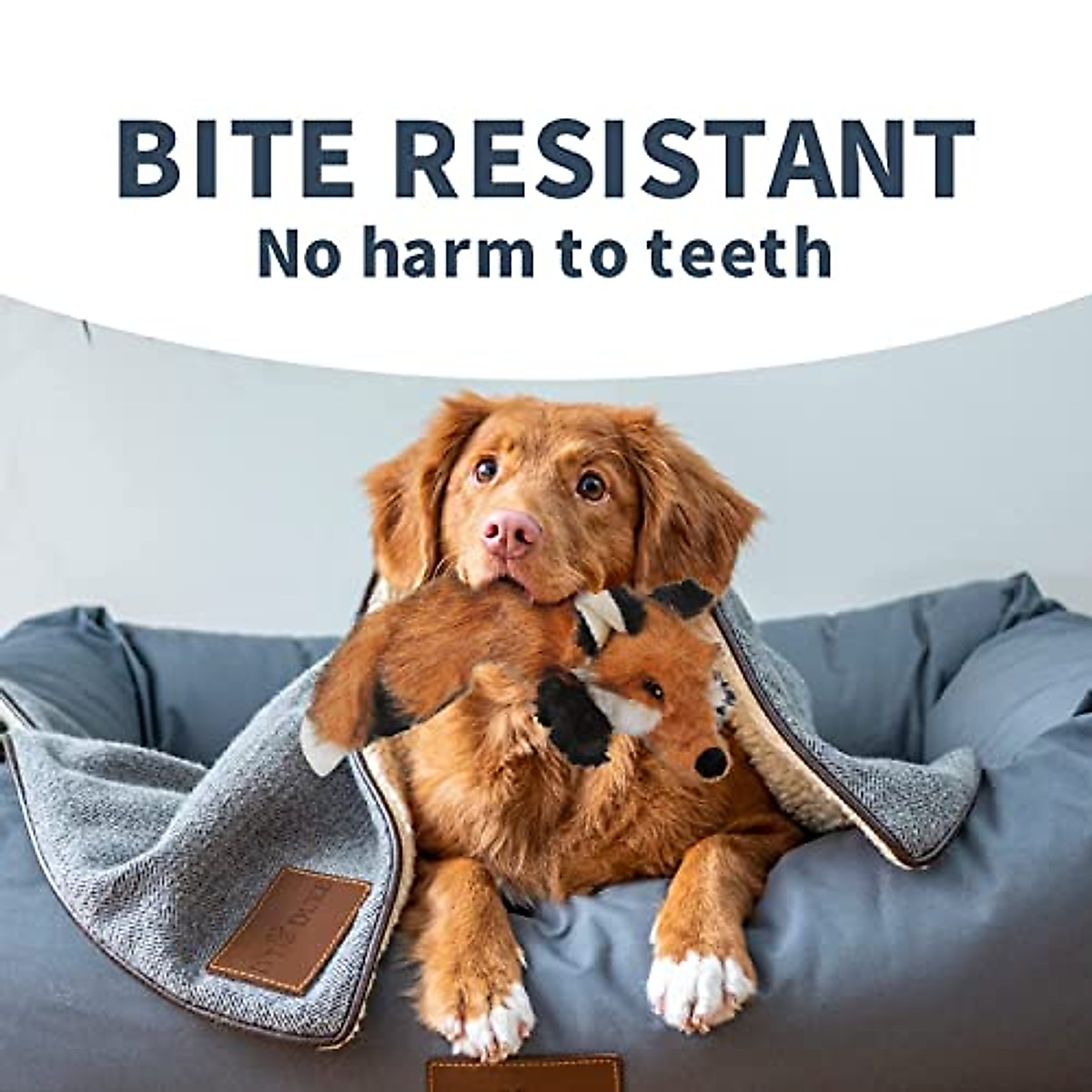 ALL FOR PAWS Squeaky Dog Toys,Animal Plush Dog Toy,Stuffed Dog Toys,Puppy Toys for Teething Small Dogs