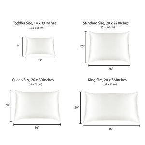 MYK 100% Pure Natural Mulberry Silk Pillowcase, 25 Momme One Side for Hair and Skin Care (King, Ivory White)…