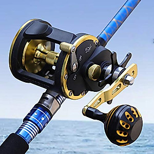 Sougayilang Trolling Reel Saltwater Level Wind Reels, Drag Reels Boat Fishing Ocean Fishing for Sea Bass Grouper Salmon-SHA30-Golden