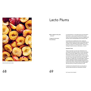 The Noma Guide to Fermentation: Including koji, kombuchas, shoyus, misos, vinegars, garums, lacto-ferments, and black fruits and vegetables (Foundations of Flavor)