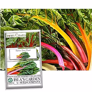 Rainbow Swiss Chard Seeds, 300+ Heirloom Seeds Per Packet, (Isla's Garden Seeds), Non GMO Seeds, Botanical Name: Beta vulgaris subsp. cicla