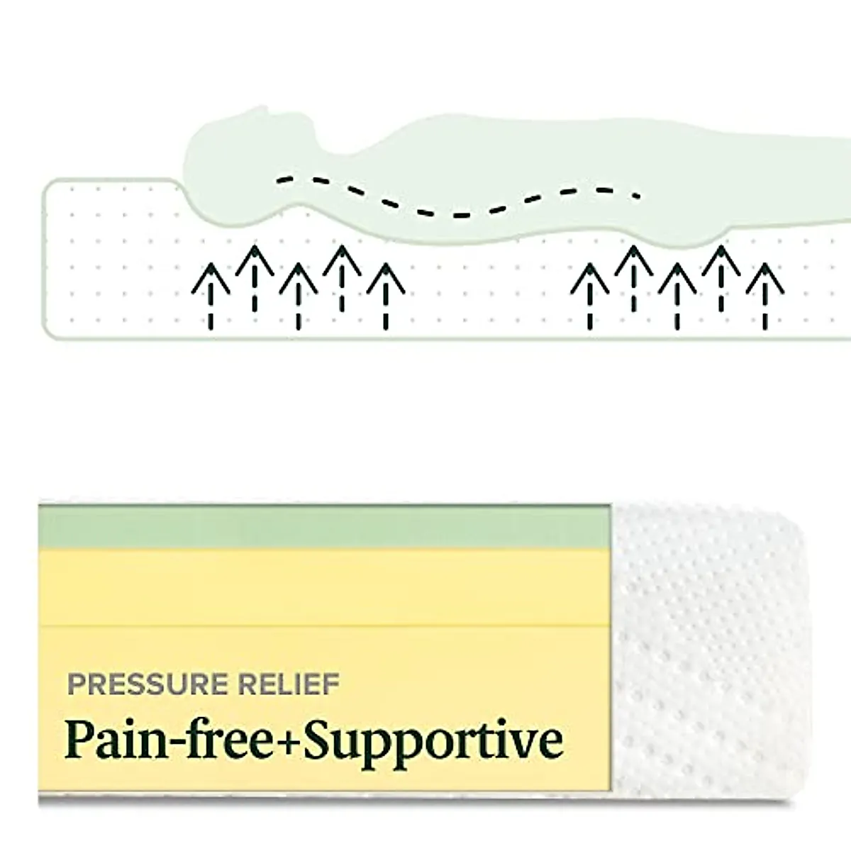 Zinus 8 Inch Green Tea Essential Memory Foam Mattress/Bed-in-a-Box/Affordable Mattress/CertiPUR-US Certified, Queen