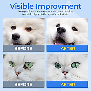 PUPMATE Eyes Wipes for Dogs & Cats | Face Tear Stain Remover | Gentle and pH Balanced | Aloe Pet Grooming Deodorizing Wipes for White Dogs Eye Debris, Discharge, Mucus, Crust 120pcs