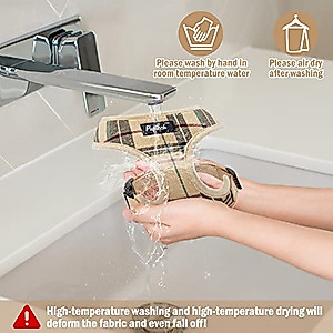 PUPTECK Soft Mesh Dog Harness and Leash Set Pet Puppy Cat Comfort Padded Vest No Pull Harnesses, Beige, S