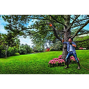 WORX WG309 8 Amp 10" Electric Pole Saw