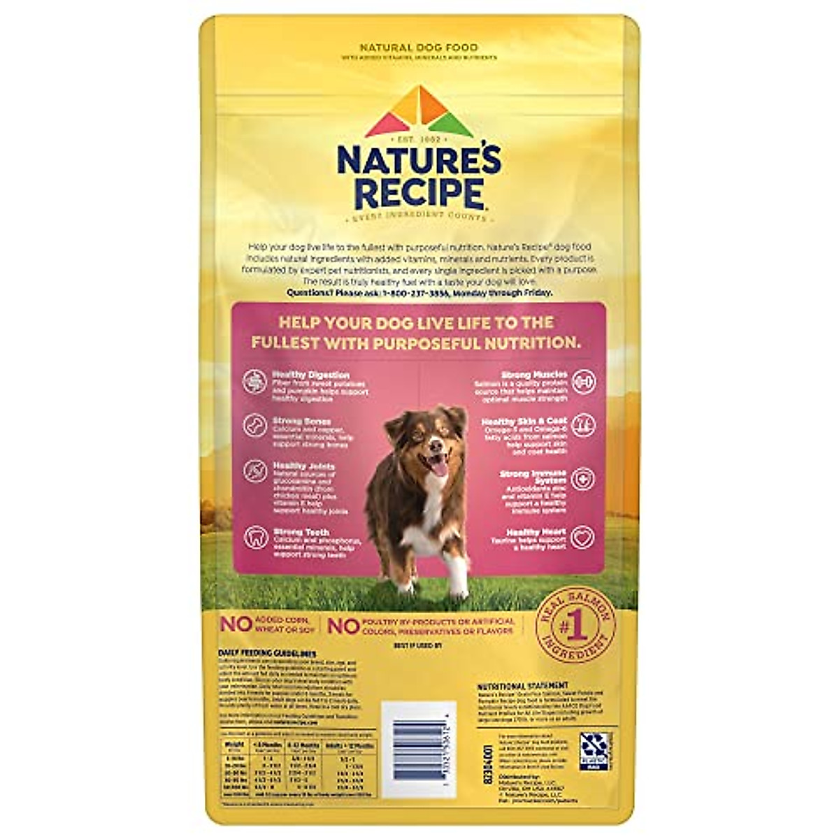 Nature's Recipe Grain Free Easy to Digest Salmon, Sweet Potato and Pumpkin Recipe Dry Dog Food, 4-Pound