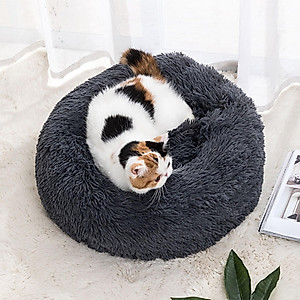 Lemuluxe Cat Beds for Indoor Cats, 20 inches Cat Bed Calming Plush Cat Bed Anti-Slip Round Fluffy Dog Bed Donut Dog Bed Soft Puppy Pet Bed Cat Beds for Small Medium Dogs Kittens (Dark Grey)