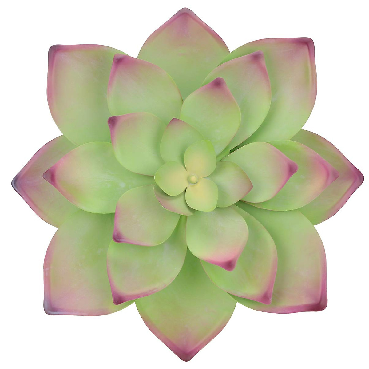 HEMOTON 1PC Succulent Wall Hanging Handmade Plants Wall Decor 3D Plants Pendant Decorative Plants Wall Art Decoration for Store Home Office Garden(Green)