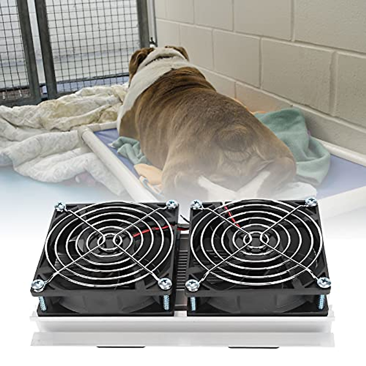 Tgoon 2‑Core Semiconductor Cooler, No Need for Refrigerant Semiconductor Refrigeration Cooler Ambient Temperature Low Noise for Experiment Boards for Computers(US Plug 110V)