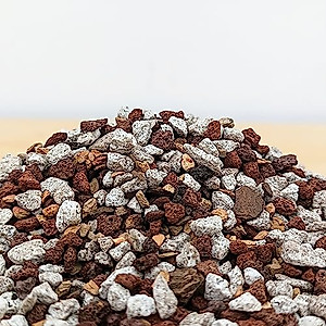 Tropical Bonsai Soil by Tinyroots - 100% Organic + Fast Draining Pre-Mixed Bonsai Potting Soil Mix, Perfect for Healthy Cacti and Bonsai Growth, 2.5 Quarts