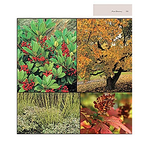 Authentic Japanese Gardens: Creating Japanese Design and Detail in the Western Garden (IMM Lifestyle Books) Traditional Elements, Layout, a Plant Directory of Trees, Shrubs, Bamboo, Flowers, and More