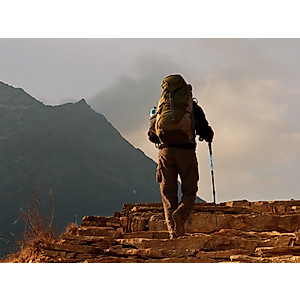 G2 Trekking Hiking Poles Telescopic/aluminum alloy/EVA foam Grip/Foam Padded Wrist Strap/Auto-Adjustable Strap/Quick Flip Lock (Pack of 2 Poles)