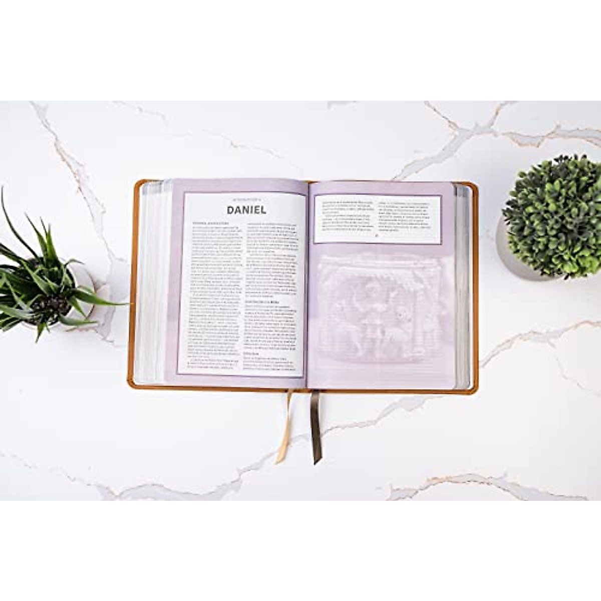 RVR 1960 Biblia ilustrada de la Tierra Santa, café símil piel / RVR 1960 Holy land Study Bible, brown LeatherTouch (Spanish Edition)