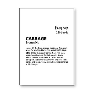 Burpee Brunswick Cabbage Seeds 260 seeds