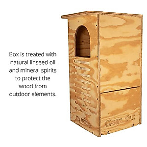 JCs Wildlife Barred Owl Nesting Box - Treated Exterior Grade Plywood - Mounting Hardware and Pine Shavings Included - Dedicated Clean Out Door for Easy Cleaning - Made in The USA