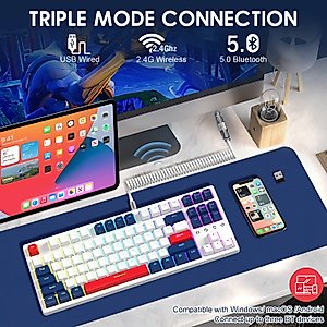 Wireless Gaming Keyboard and Custom Coiled USB C Cable,Triple Mode 2.4GHz/BT 5.0/USB-C,TKL Hot Swappable Mechanical Keyboard Yellow Switches,Rechargeable 3000mAh for PC PS5 PS4 Xbox-2 in 1 Kit