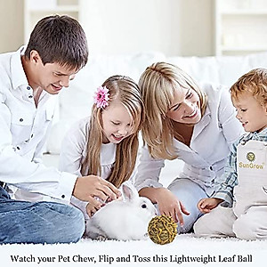 SunGrow Seagrass Balls for Rabbit, for Pet’s Gums & Teeth, Chewable Teething Activity Toy for Gerbils, Guinea Pig, Dwarf Bunny, 1 Pc