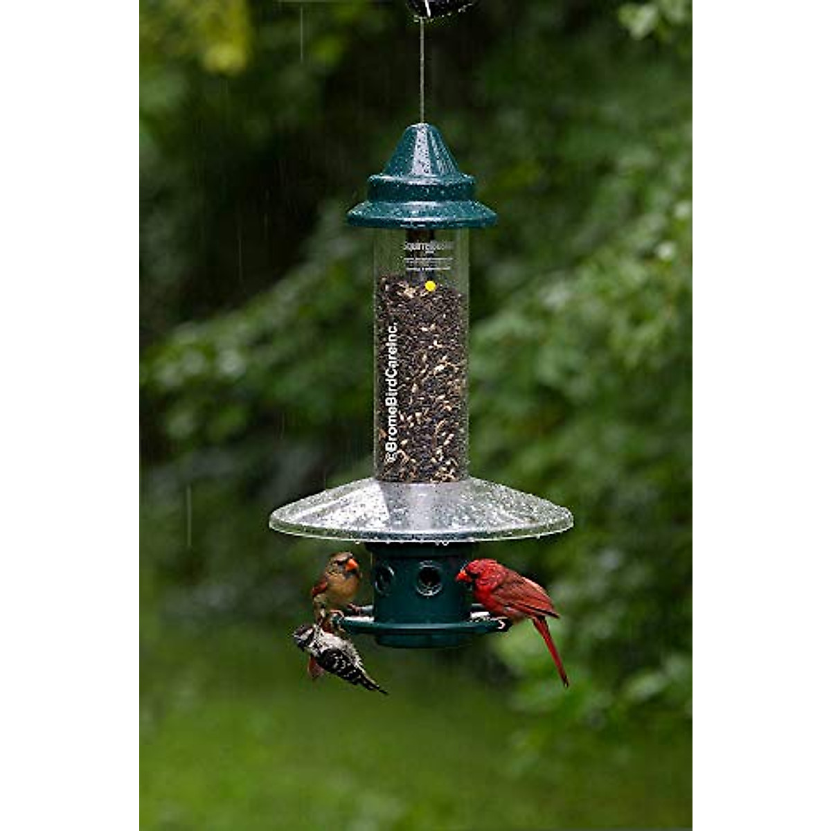 Weather Guard for Squirrel Buster Plus Bird Feeder (FEEDER NOT INCLUDED)