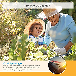 Suncast 124 Gallon Wicker Horizontal Outdoor Deck Box with Hinged Lid, Water-Resistant Storage Solution for Patio, Deck, Yard, and Garage, Stoney