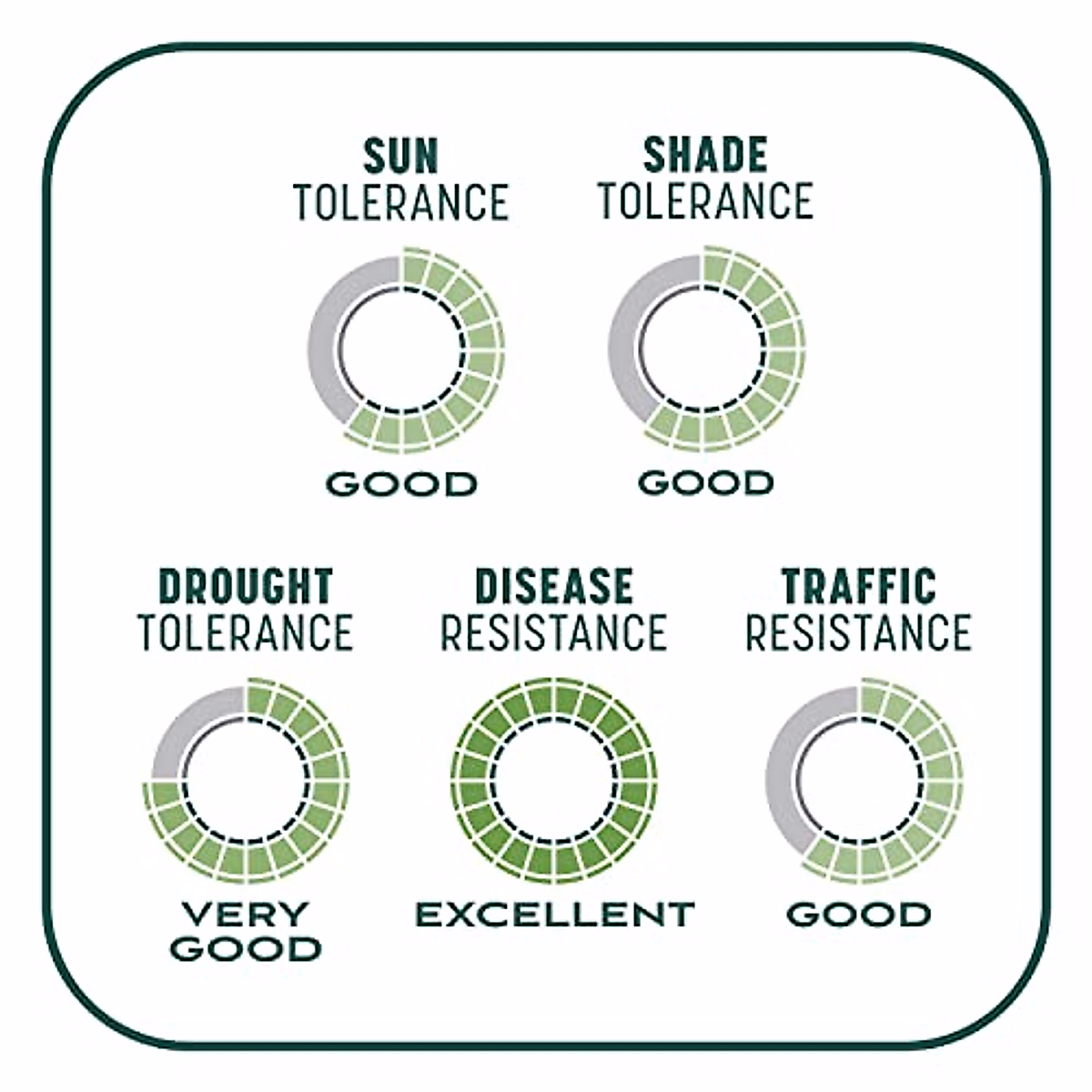 Pennington Smart Patch Sun and Shade Mix Jug 5 lb