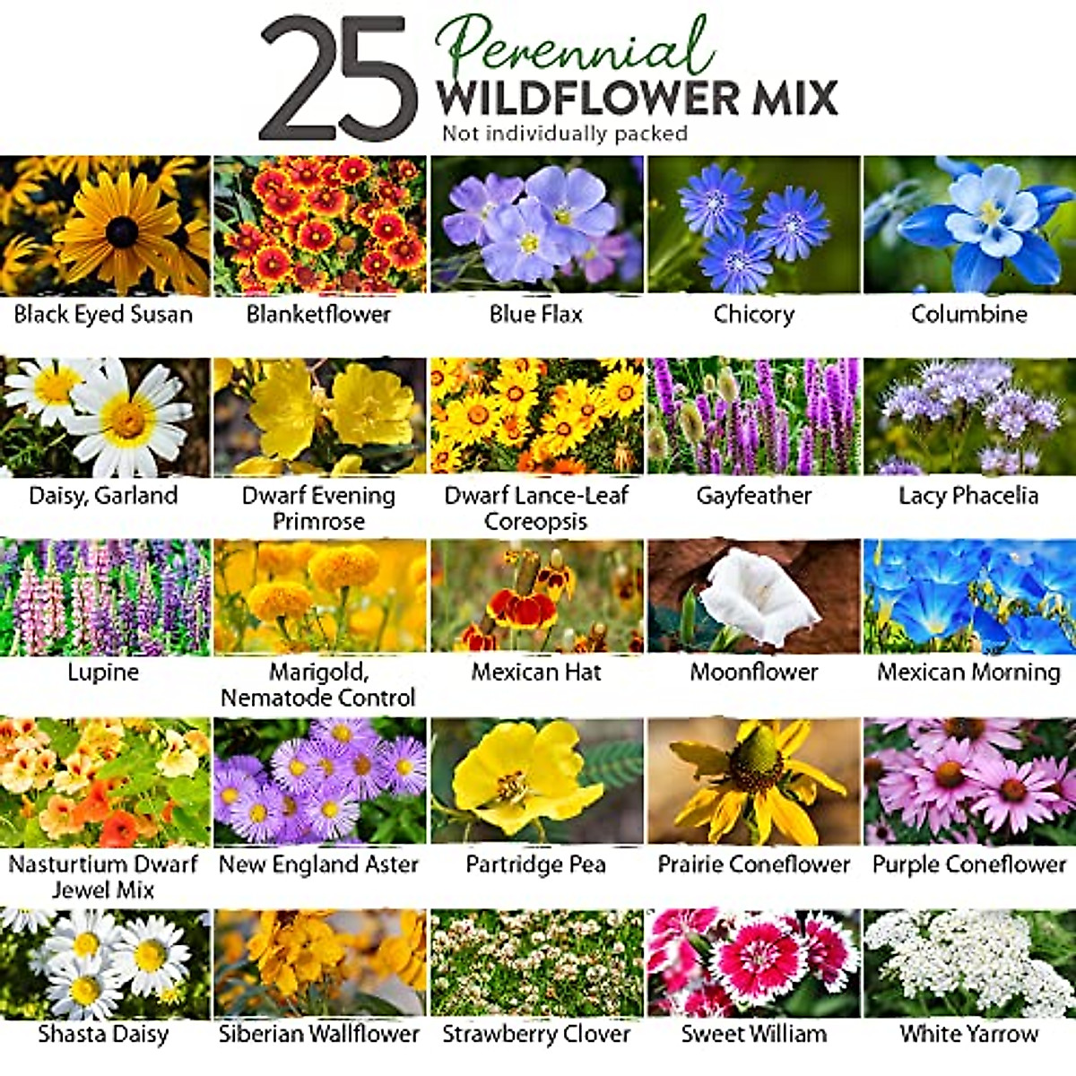 120,000+ Wildflower Seeds Bulk: (4oz) Perennial Wild Flower Seeds for Planting Mix - Butterfly Garden Seeds for Attracting Birds & Bees - 25 Wildflowers: Blue Flax to Coneflower and More