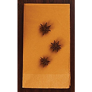 Creative Converting 323401 2PLY 1/8FLD Touch of Color 50-Count Dinner Napkins, 1/8 Fold, Pumpkin Spice, 6.5" x 6.5", Orange