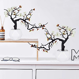 Artflower Plum Blossom Artificial Silk Flowers 2 Pack Simulation Flower with Ceramic Vase Fake Plant Potted Arrangement for Home Wedding Office DIY Living Room Party Garden Decoration (White)