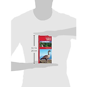 Hawaii Birds: A Folding Pocket Guide to Familiar Species (A Pocket Naturalist Guide)