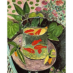 TISHIRON DIY Paint by Number Kit,Paint by Numbers for Adults,Goldfish Paint by Numbers Kits on Canvas Abstract Style Oil Painting by Numbers for Adults Beginner 16x20inch