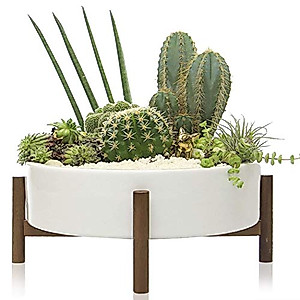kimisty 10 Inch Succulent Planter, Large Round Bowl with Drainage, Mid Century White Ceramic Pot with Wood Stand, Succulent Garden Shallow Pot, Tabletop Centrepiece, Includes Gift Pack
