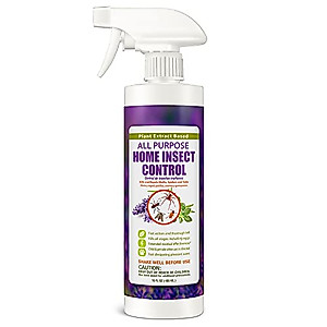 EcoVenger by EcoRaider All Purpose Insect Control 16 OZ, Fleas, Fruit Flies, Gnats, Moths, Roaches, Spiders, Fast Kill, Lasting Prevention, Kill Eggs, Plant Extract Based & Non-Toxic, Child & Pet Safe