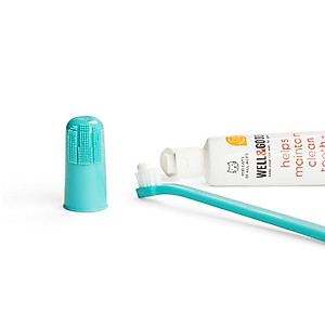 Well & Good Cat Dental Health Kit with Chicken Flavored Toothpaste 2.5 oz.