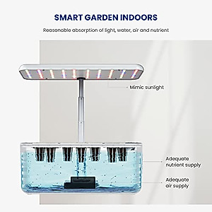 iDOO Herb Garden Kit Indoor, 7Pods Hydroponics Growing System with Pump, Germination Kit with LED Light, Auto-Timer, Up to 14.57"
