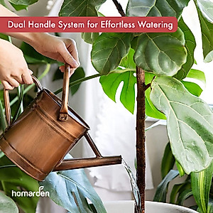 Homarden 1 Gallon Copper Decorative Watering Can - Metal Watering Cans for Indoor and Outdoor House Plants - Removable Spout and Dual Handles - Small Watering Can for Bonsai Plant - 16.1Dx6.2Wx7.9H in