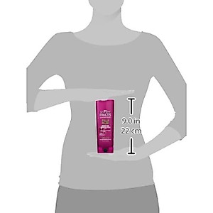 Garnier Fructis Color Shield Fortifying Conditioner 12 Fl Oz (Pack of 2)