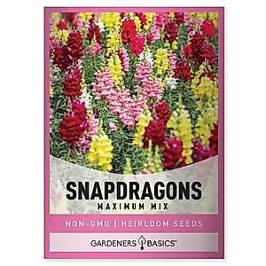 Snapdragon Seeds for Planting (Maximum Mix Snap Dragon) Annual Flower Heirloom, Non-GMO Variety- 400mg Seeds Great for Summer Seeds for Gardening Flowers Gardens by Gardeners Basics