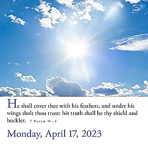 365 Bible Verses-A-Year Page-A-Day 2023: Timeless Words From the Bible to Guide, Comfort, and Inspire