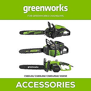 Greenworks 16-Inch Chainsaw Bar & Chain Combo 2904302