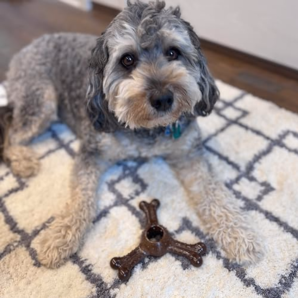 SPOT Bam-Bones Plus Triple Chew - Bamboo Fiber & Nylon, Durable Long Lasting Dog Toy for Aggressive Chewers – Great for Adult Dogs & Teething Puppies Under 90lbs, Non-Splintering, 7in, Bison Flavor