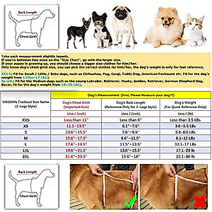 Pet Cat Dog Clothes Hoodie Tracksuit Jacket Winter Sweater Cute Outfit 2-Legs Style Grey for Puppy Small to Medium Dogs Boy and Girl (Medium)