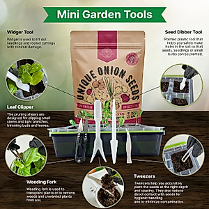 Organo Republic 8 Onion Seeds Variety Pack Heirloom, Non-GMO, Sets for Indoors, Outdoors Gardening. 2200+ Seeds: Walla Walla, Green Onion, Red Burgundy, White & Yellow Sweet Spanish Onions